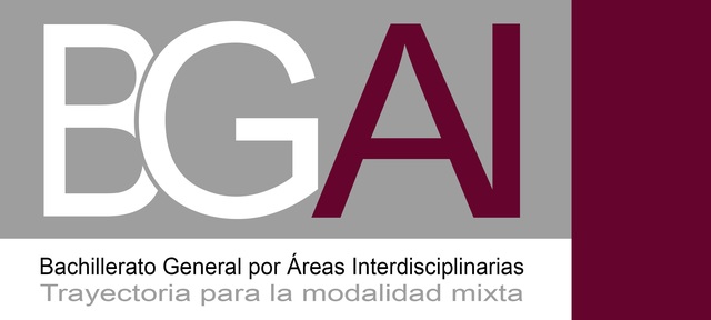 Responsabilidades del Asesor del BGAI timeline | Timetoast timelines