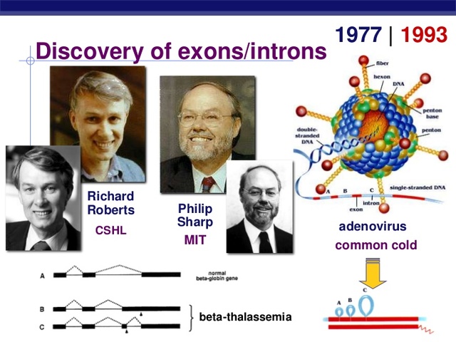 Era Científica Moderna timeline | Timetoast timelines