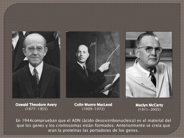 Avanços genètics timeline | Timetoast timelines