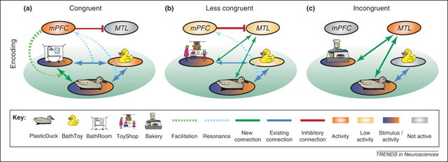 Memory timeline | Timetoast timelines