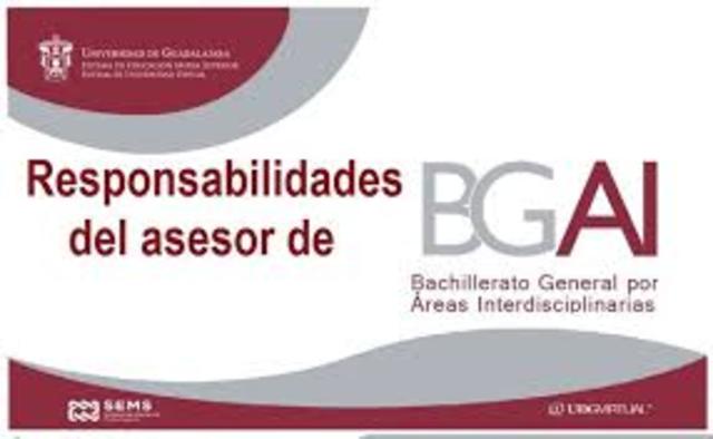 Responsabilidades Del Asesor de BGAI timeline | Timetoast timelines