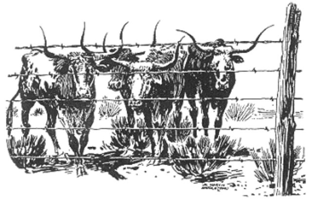 New Inventions timeline | Timetoast timelines