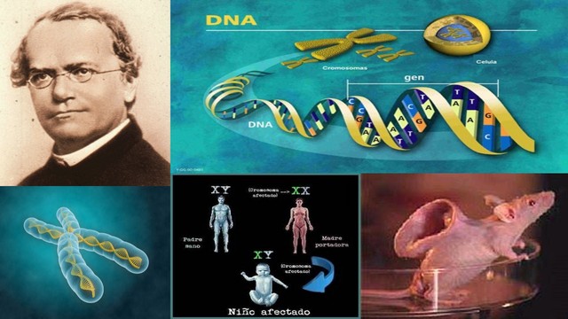 LA GENETICA timeline | Timetoast timelines