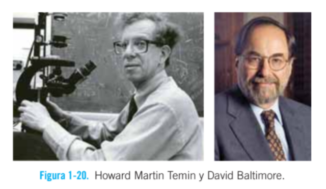 Historia de la biología molecular timeline | Timetoast timelines