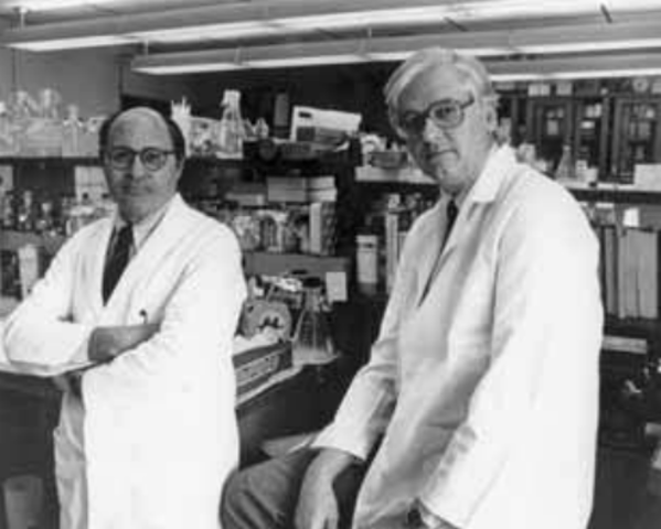 Historia de la biología molecular timeline | Timetoast timelines