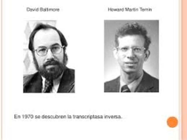 Historia Biologia Molecular - Juan Marenco timeline | Timetoast timelines