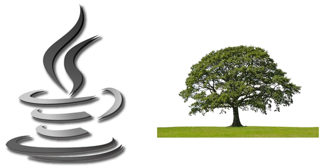 Java timeline | Timetoast timelines