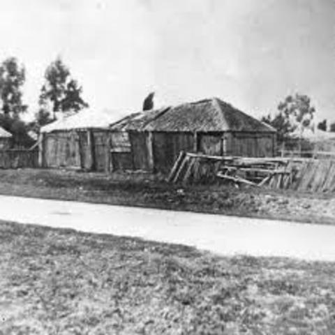 Mary Mackillop timeline | Timetoast timelines