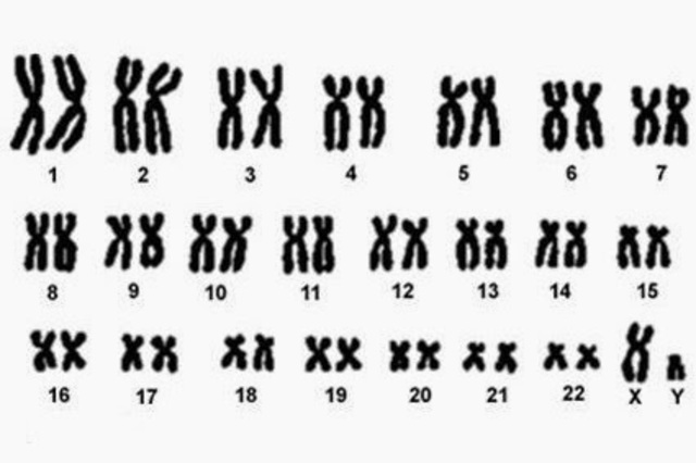 Historia De La Genética timeline | Timetoast timelines