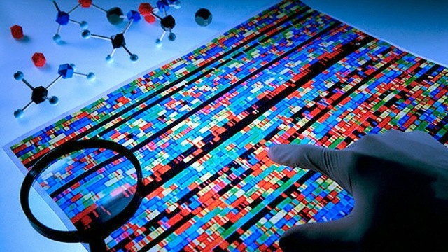 historia de la genetica timeline | Timetoast timelines