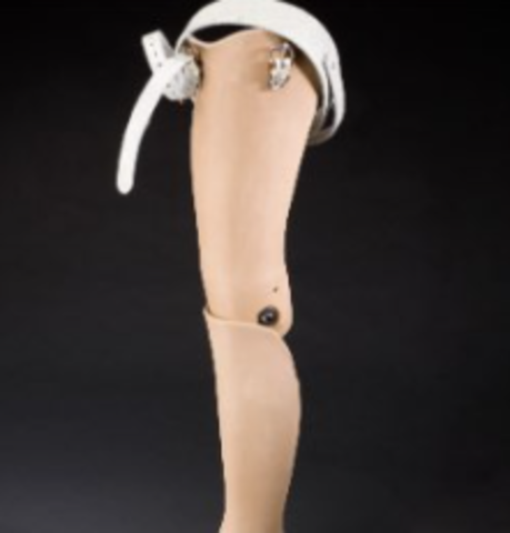 Timeline of Bionic Legs | Timetoast timelines