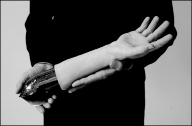 Bionics timeline | Timetoast timelines