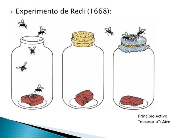 Microbiología,los 30 acontecimientos más importantes. timeline ...