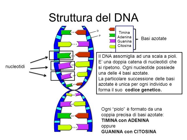 Genetics and its development timeline | Timetoast timelines