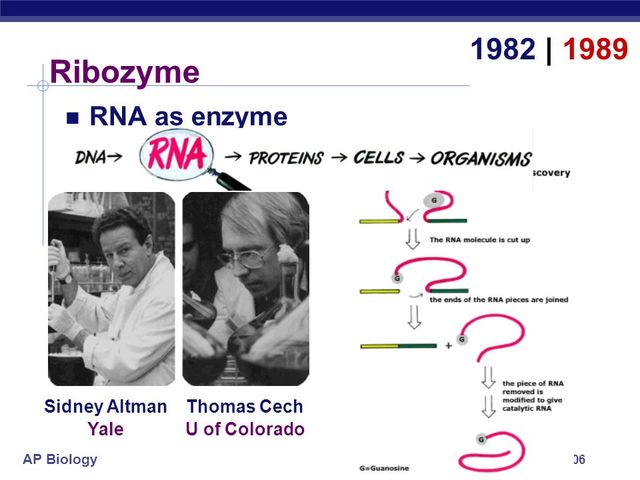 Teoría de la célula/Teoría de la evolución timeline | Timetoast timelines