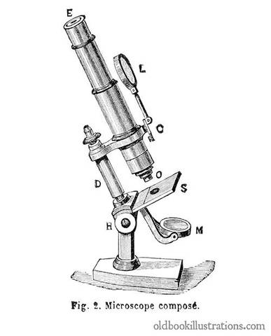 A History of Microscopes in Medicine timeline | Timetoast timelines