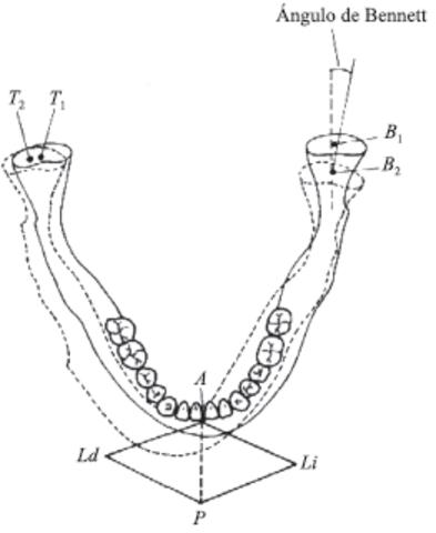 Oclusion timeline | Timetoast timelines