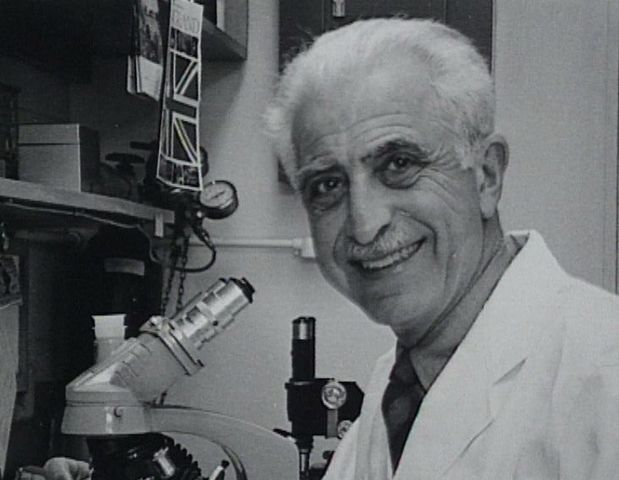 History Of Medicine timeline | Timetoast timelines