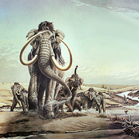 Ancient History Timeline | Timetoast timelines