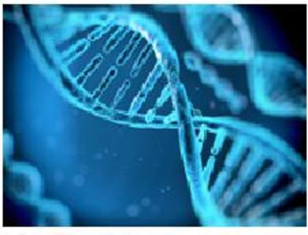 evolución de la genética timeline | Timetoast timelines