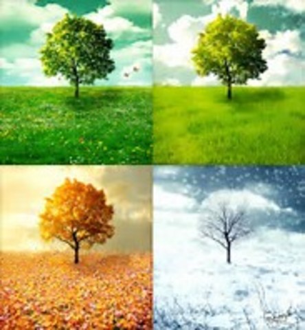 Fall: Leaves Changing timeline | Timetoast timelines