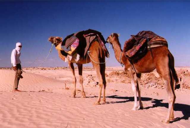 Muhammad timeline | Timetoast timelines