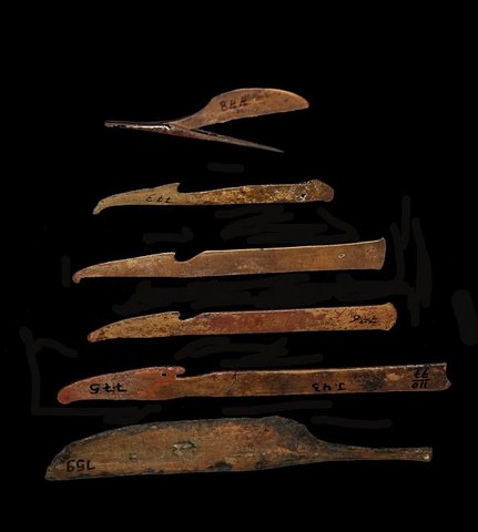 The History of Surgery/Medicine. By: Selena Benites. timeline ...