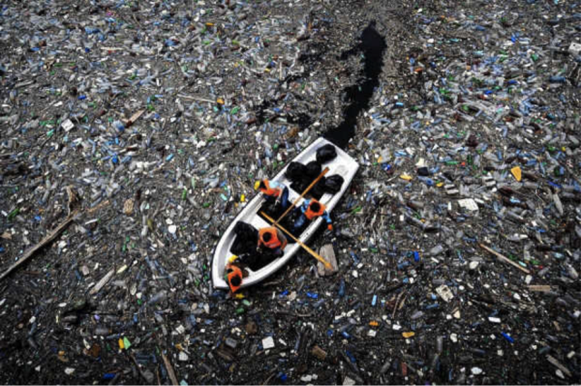 Ocean Pollution timeline | Timetoast timelines