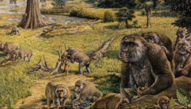 Gli ominidi timeline | Timetoast timelines