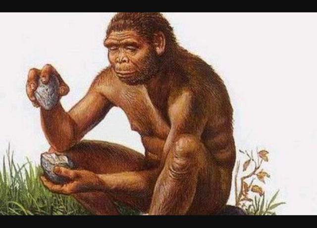 GLI OMINIDI timeline | Timetoast timelines