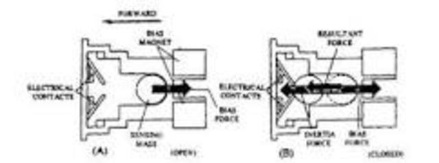 Product Evolution Timeline: The Car Air Bag | Timetoast timelines
