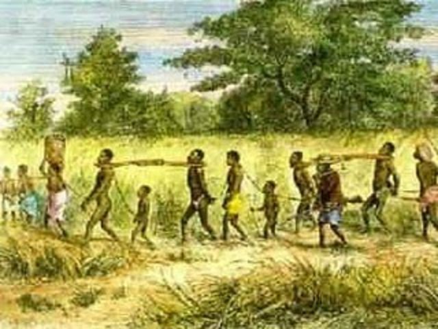 EPOCA PRIMITIVA. timeline | Timetoast timelines