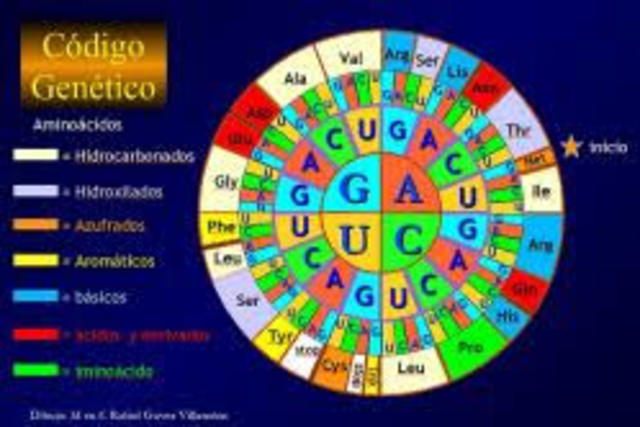 Descubrimientos de la ciencia timeline | Timetoast timelines