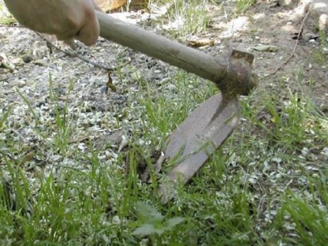HISTORIA DELAS RELACIONES DE LA HUMANIDAD CON LA NATURALEZA timeline ...