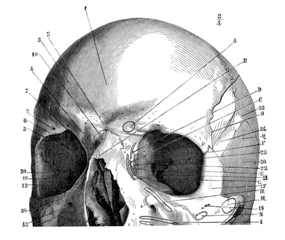 Major Events in Decomposition timeline | Timetoast timelines