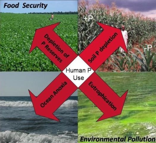 Farm Bills timeline | Timetoast timelines