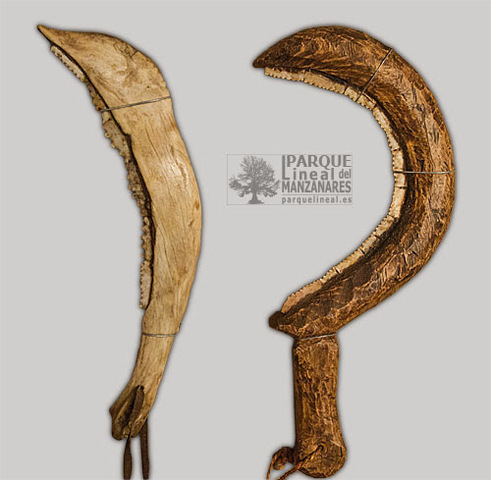 la tecnologia en la prehistoria timeline | Timetoast timelines