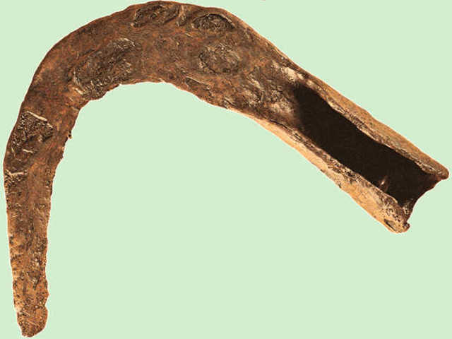 Prehistoria timeline | Timetoast timelines