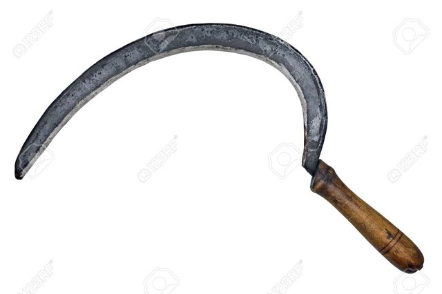 La tegnología en la Prehistoria timeline | Timetoast timelines