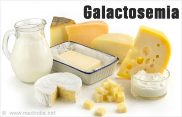 Alimentos Galactose