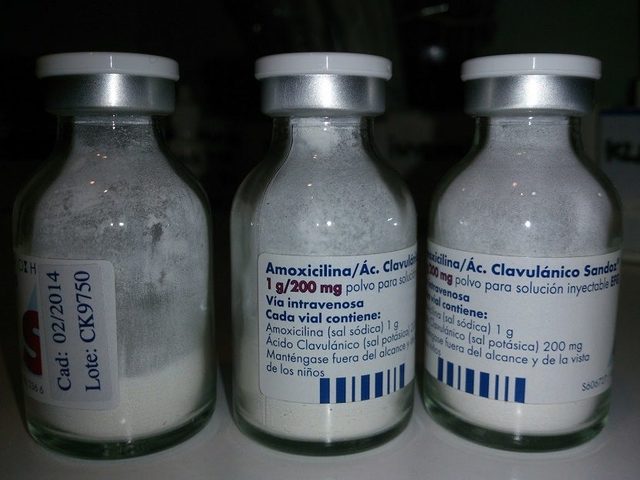 La penicilina timeline | Timetoast timelines