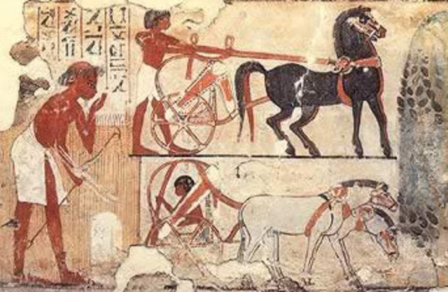 History of Transportation timeline | Timetoast timelines