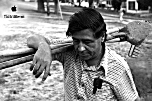 Cesar Chavez timeline | Timetoast timelines