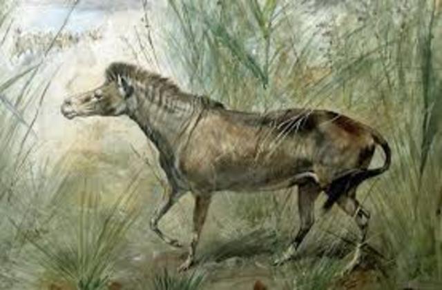 History of Horses timeline | Timetoast timelines