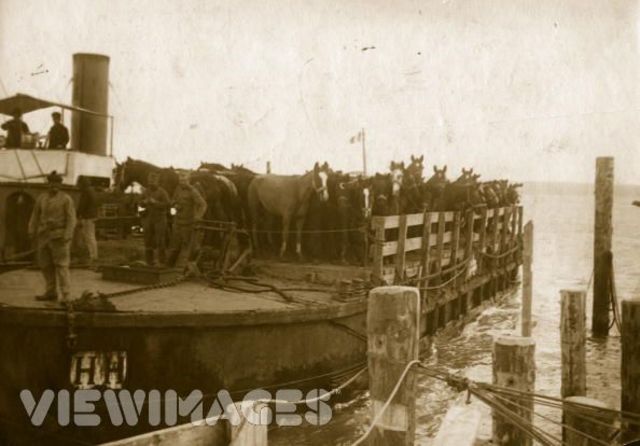 History of Transportation timeline | Timetoast timelines