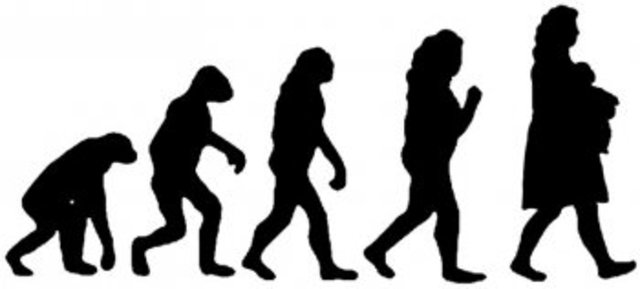 HUMANIZACIÓN timeline | Timetoast timelines