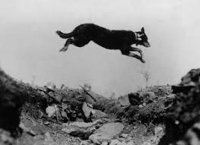 WW1 timeline | Timetoast timelines