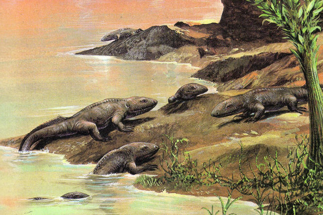 Evolución de la vida en la tierra timeline | Timetoast timelines