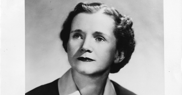 Women in History timeline | Timetoast timelines