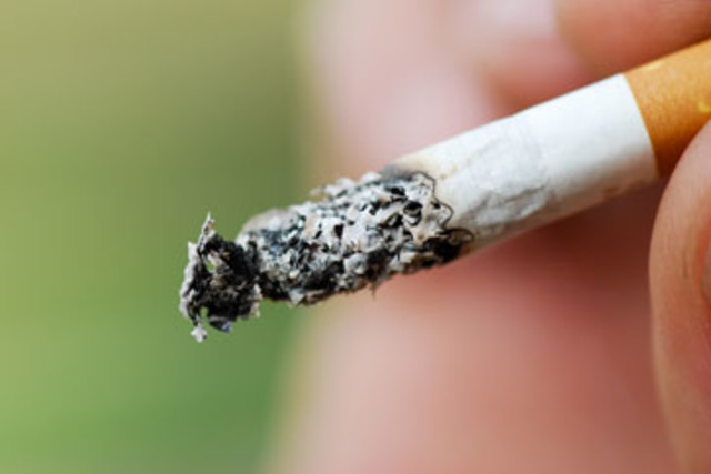 History of tobacco timeline | Timetoast timelines